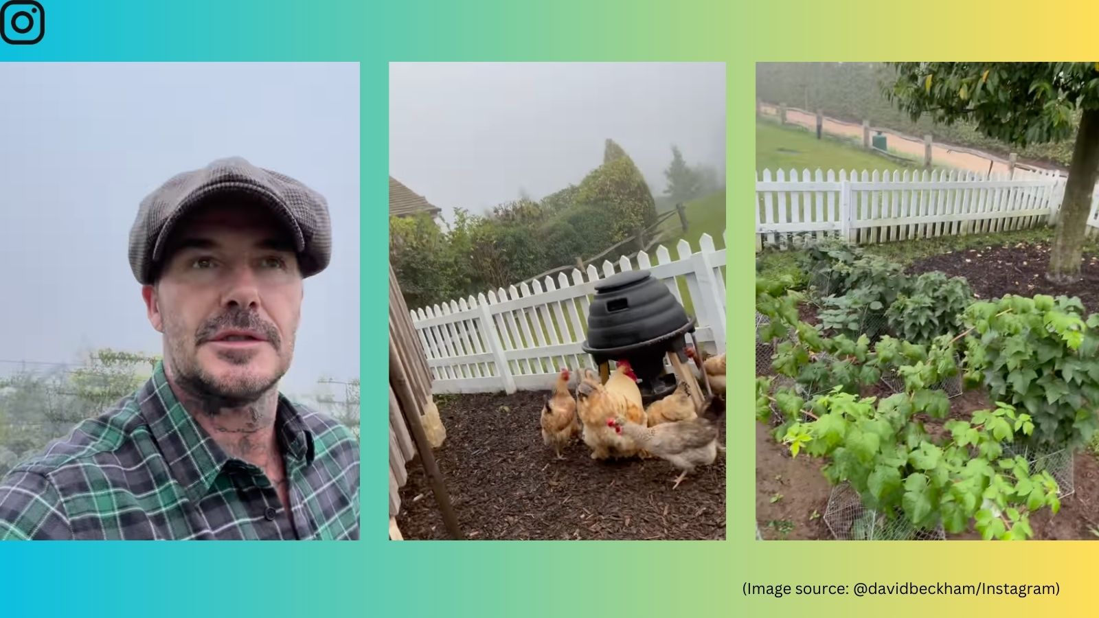 David Beckham gives sneak peek into his farm life post-retirement, fans ...