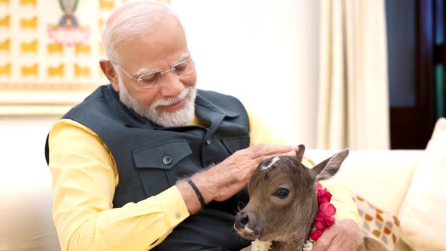 PM Modi’s Lok Kalyan Marg residence welcomes new member — calf ...