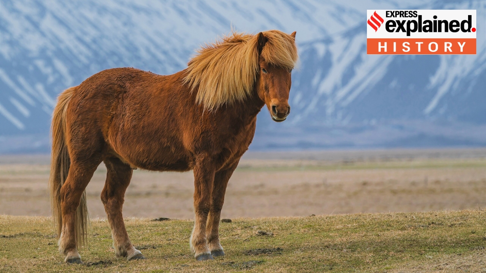 When did humans first ride horses? Here’s why the answer to this ...