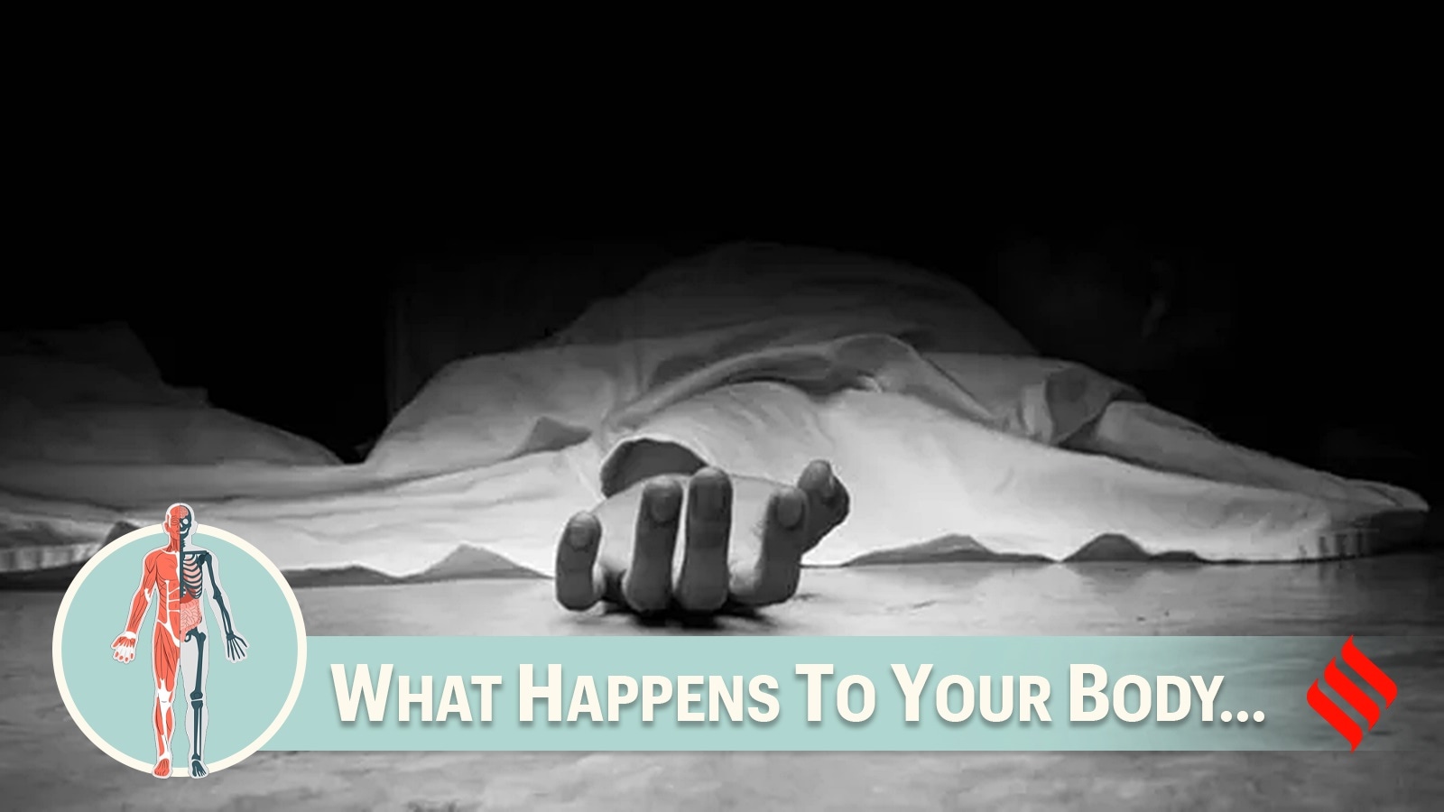 How fast do our organs die after death?