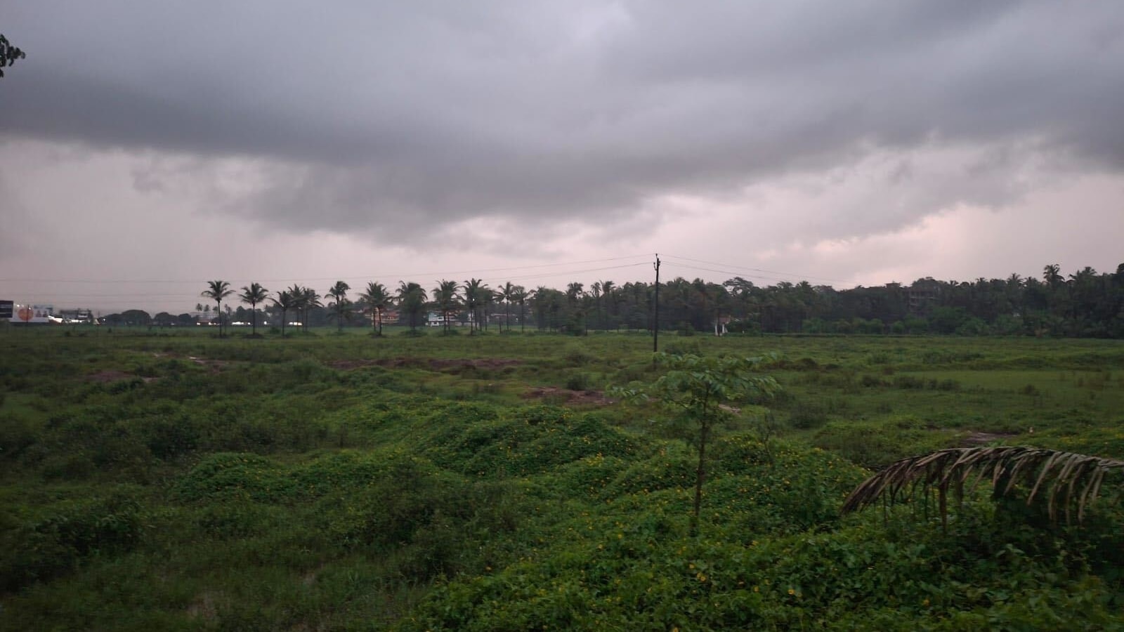 Land use law tweak: Goa CM Pramod Sawant lists steps to protect natural ...