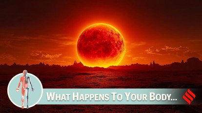 Anatomy Red Giant