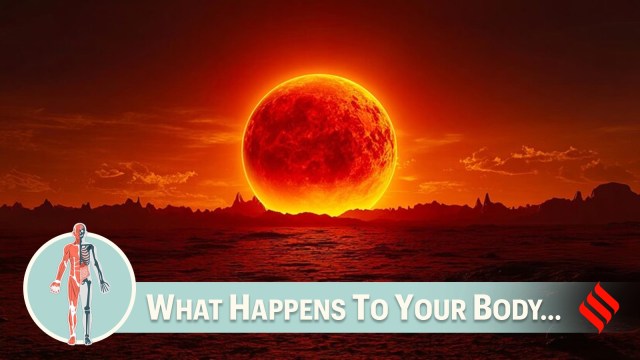 Here’s what your body could experience if the Sun slowly evolved into a ...