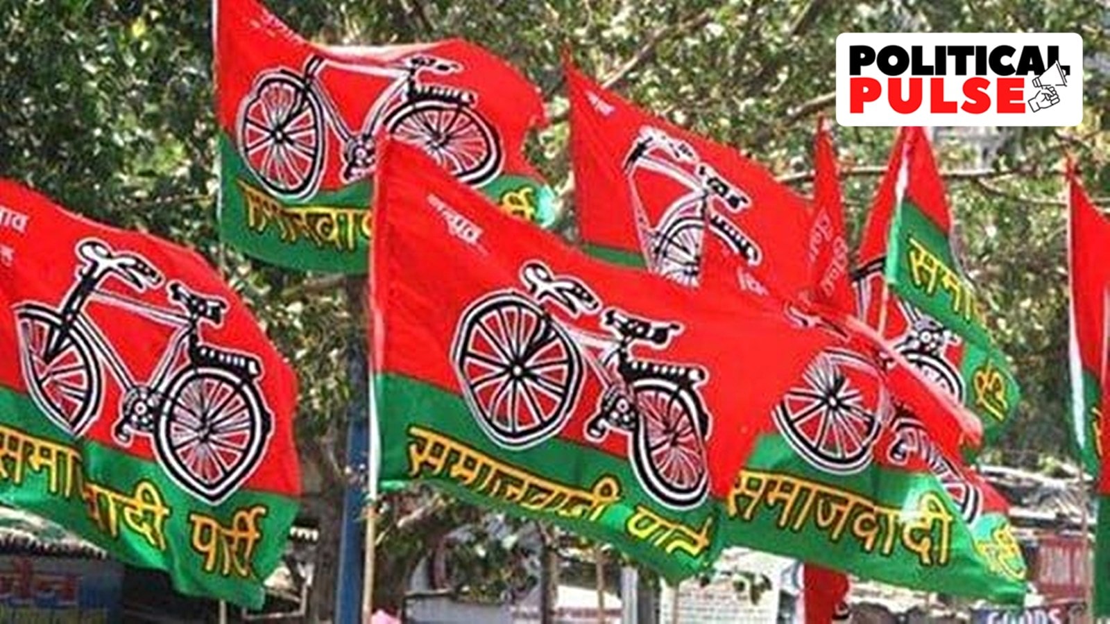 Congress has ‘not fulfilled duty’: Haryana SP chief after party gets no ...