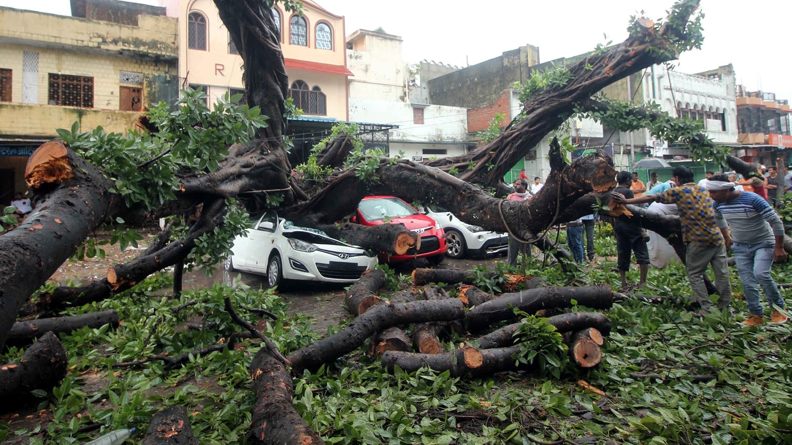 42 incidents of tree collapse and short circuits, 3 injured in house collapse following heavy ...