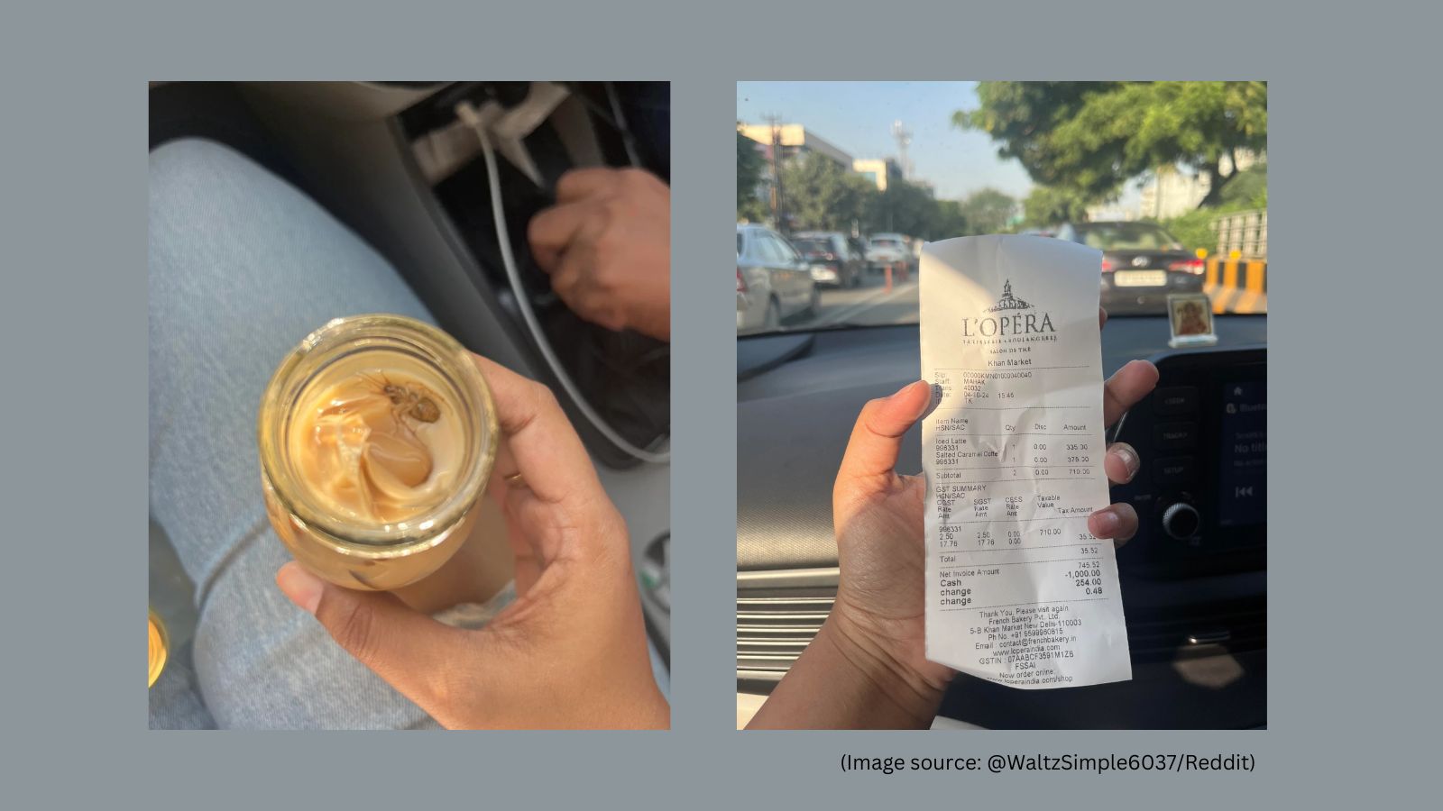 Cockroach found in iced latte at Khan Market cafe, netizens raise ...