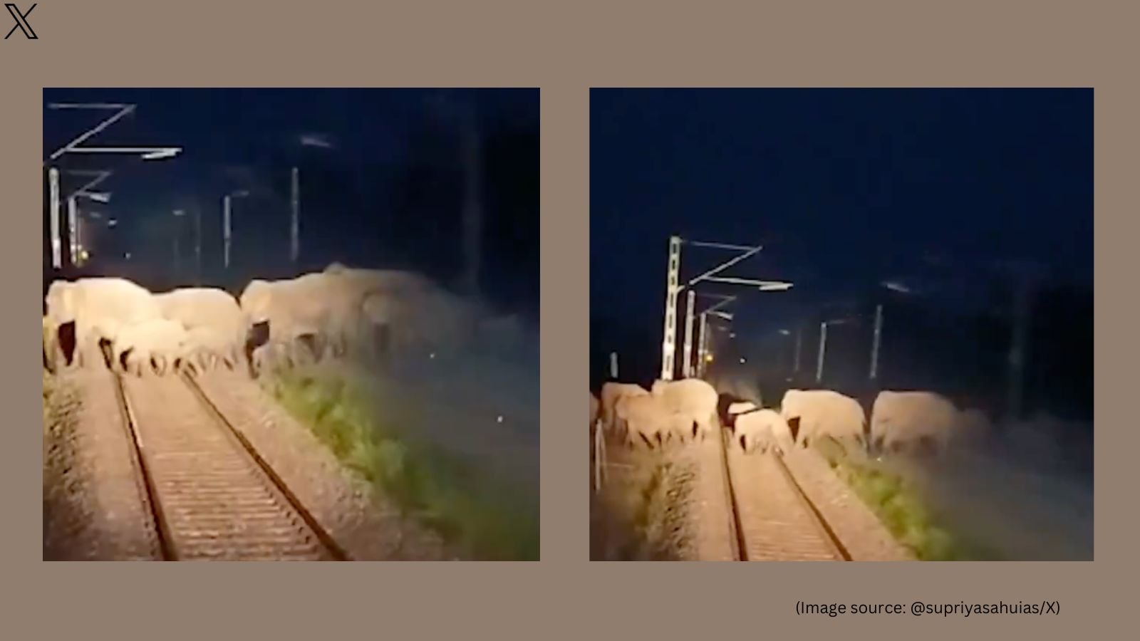 Watch: Loco pilots win plaudits for saving nearly 60 elephants from ...