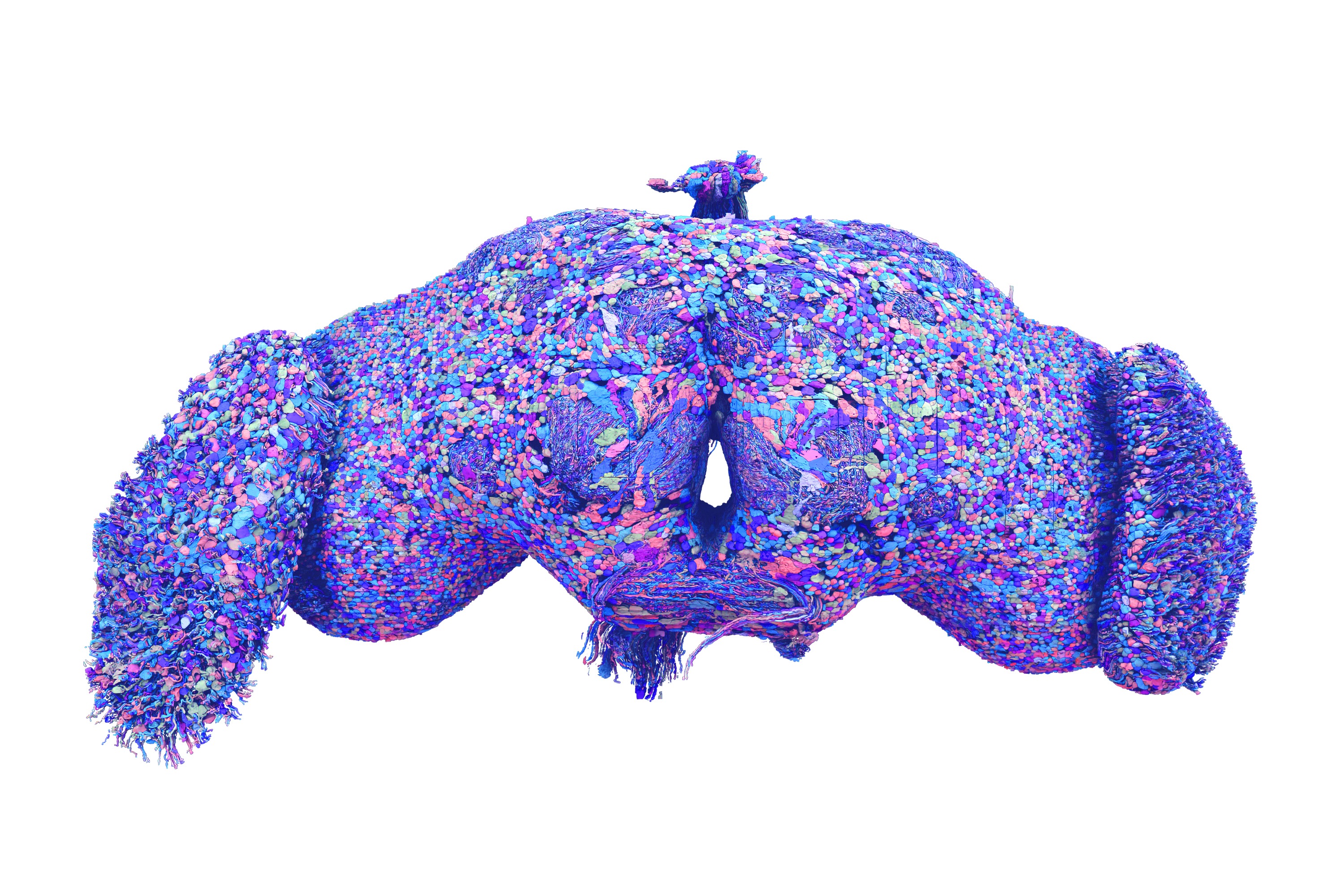 Why you should care about scientists mapping the fruit fly’s brain Why you should care about scientists mapping the fruit fly’s brain