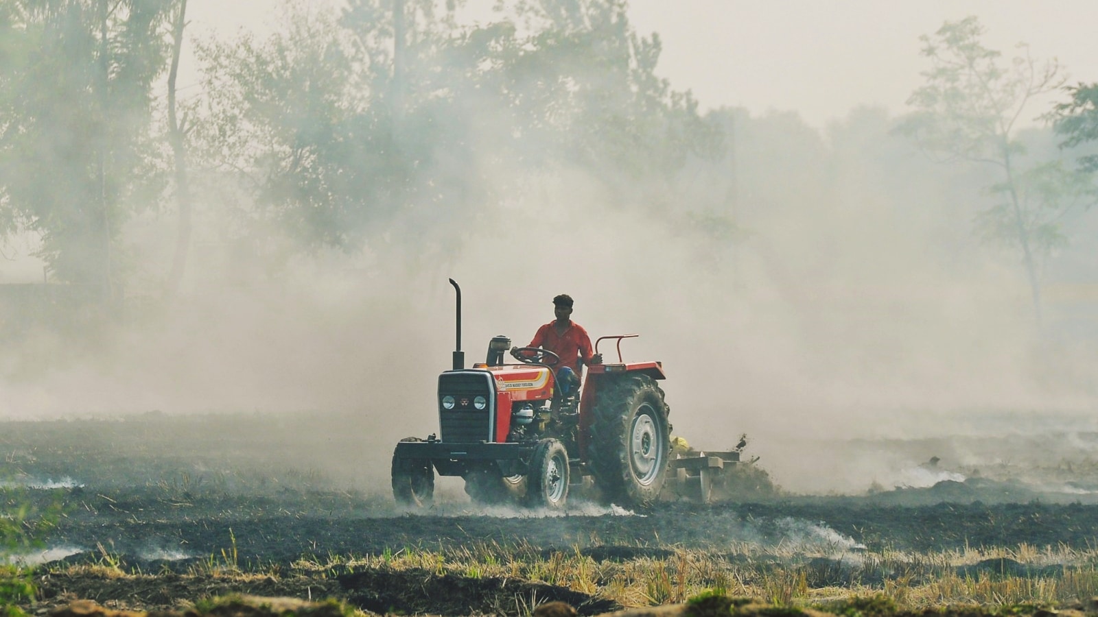 Fine, FIR, MSP ban, red entry on land records: How Haryana is trying to ...