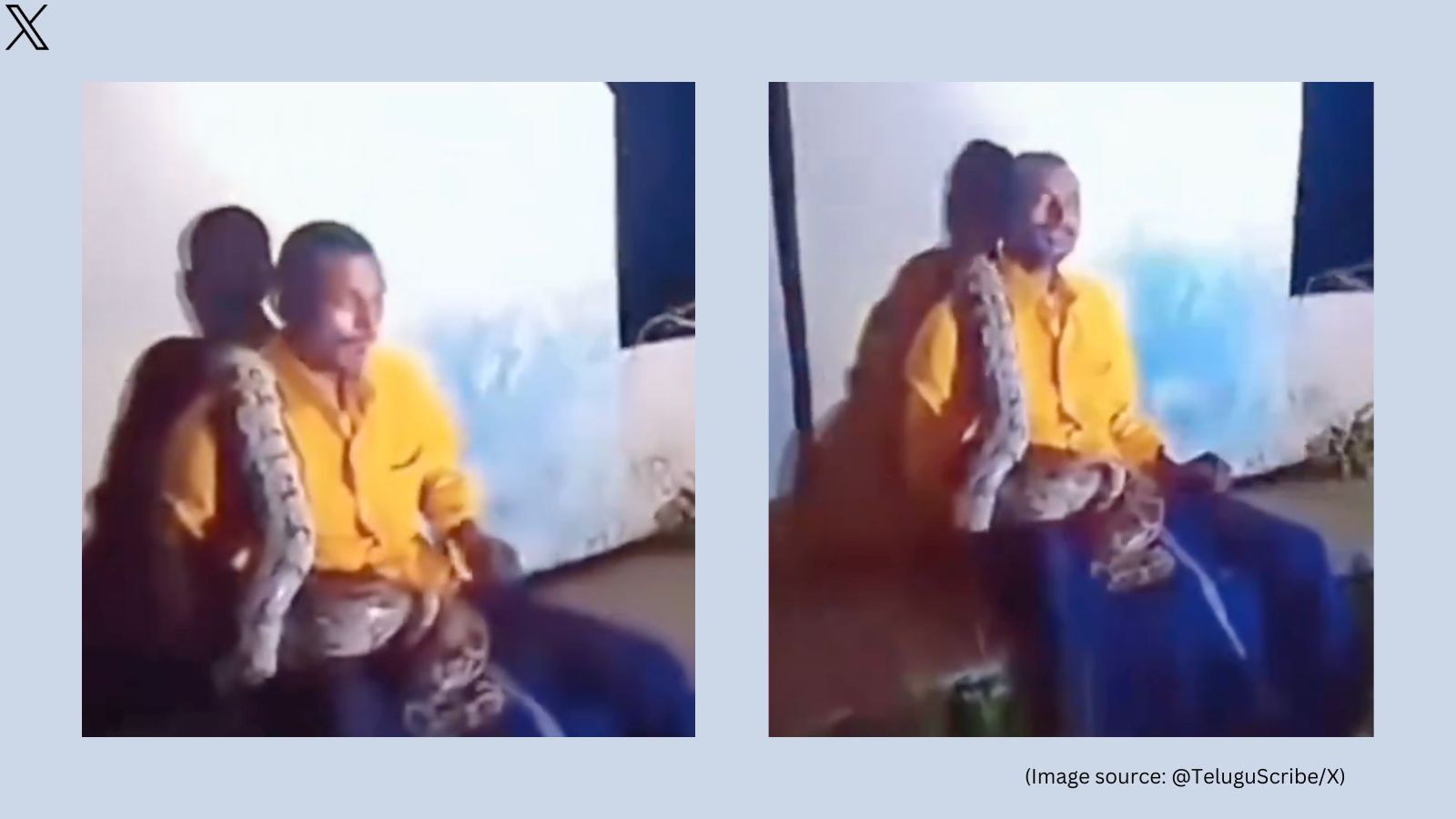 Giant python slithers over drunk man in Andhra Pradesh, netizens react ...