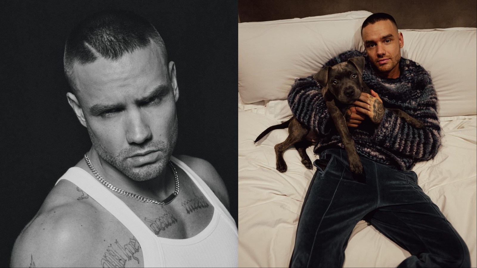 Liam Payne was ‘effectively dead’ at birth due to kidney ailment, ‘had ...