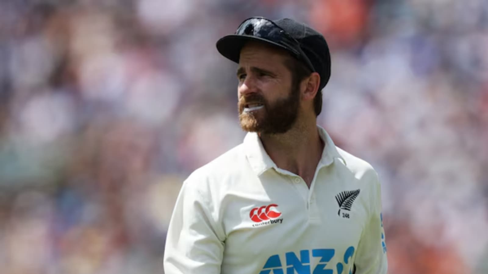IND vs NZ: Kane Williamson to miss second Test against India in Pune ...