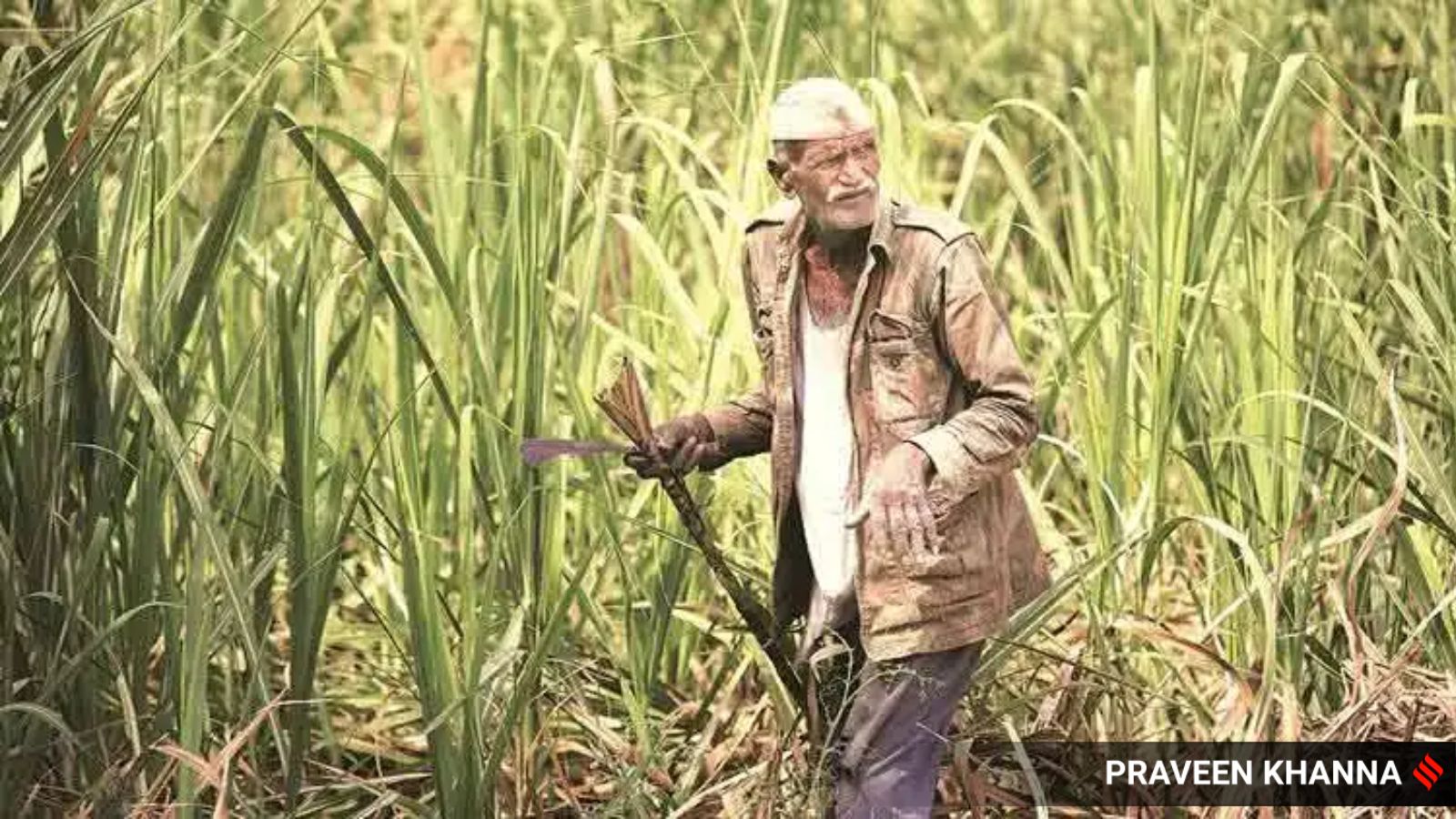 Mahayuti, MVA head for tough fight in western Maharashtra sugar belt ...