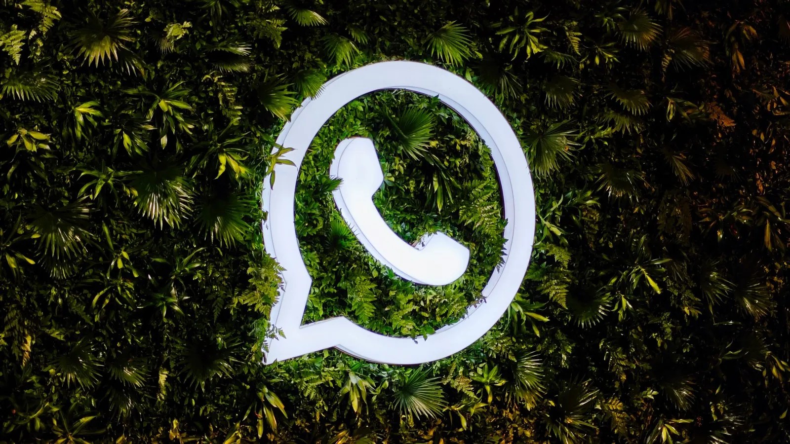 WhatsApp can help you plan and keep track of important things this ...