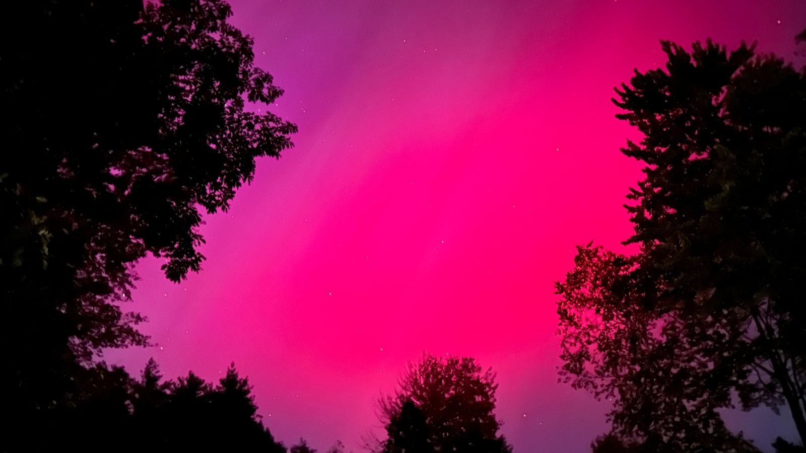 In pics: These stunning northern lights photos leave spectators amazed ...