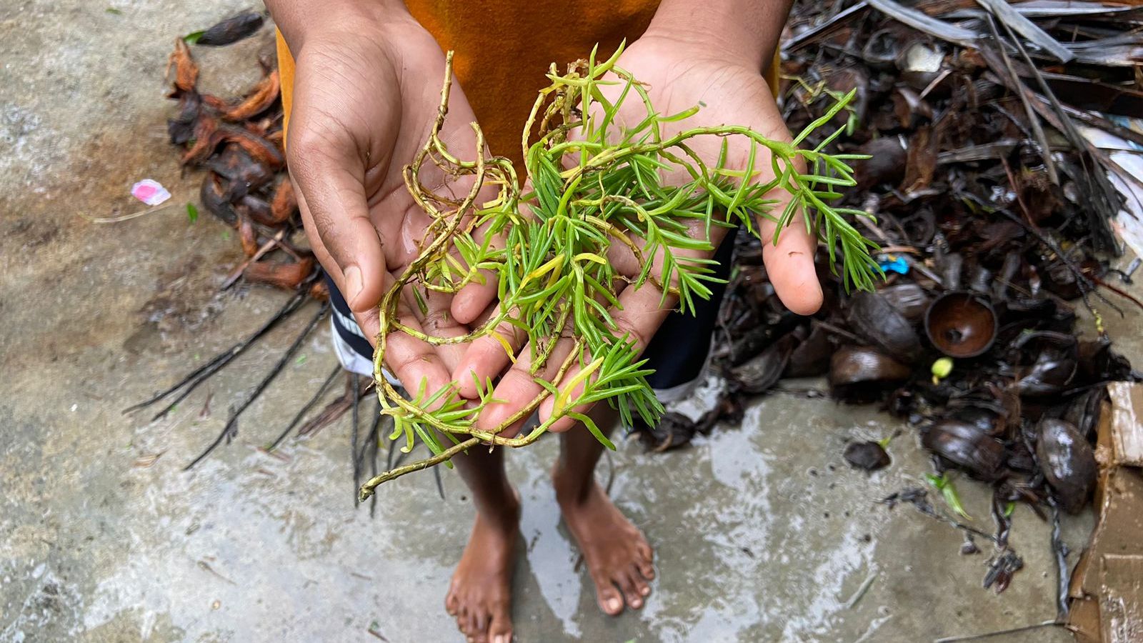 When the stomach burns: 80 years on, memories from the famine kitchens ...