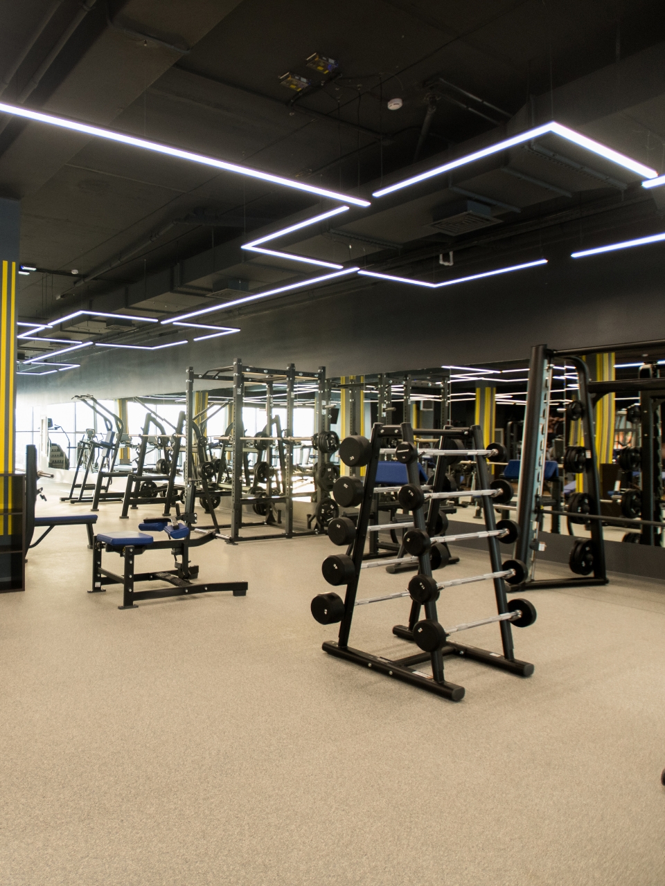 Expert insights on how to protect yourself from ringworm at the gym