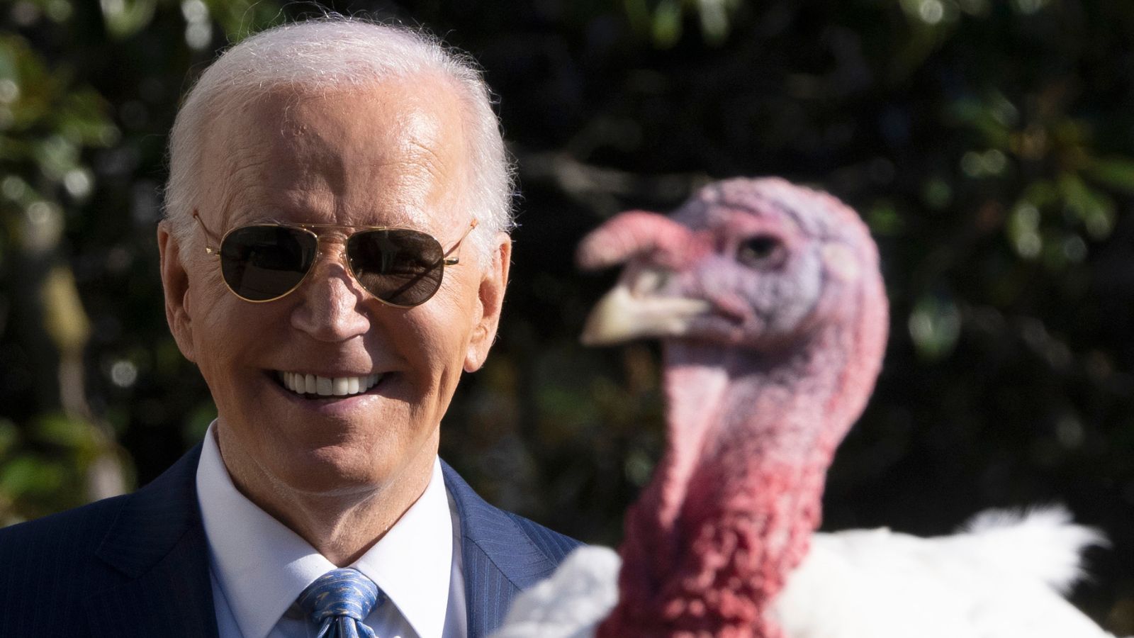 In pics: Biden pardons Turkeys peach and blossom, kicking off holiday ...