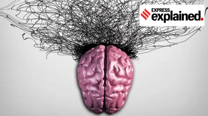 This Picture Cannot Be Explained No New GTA 6 Trailer Yet, Playlist