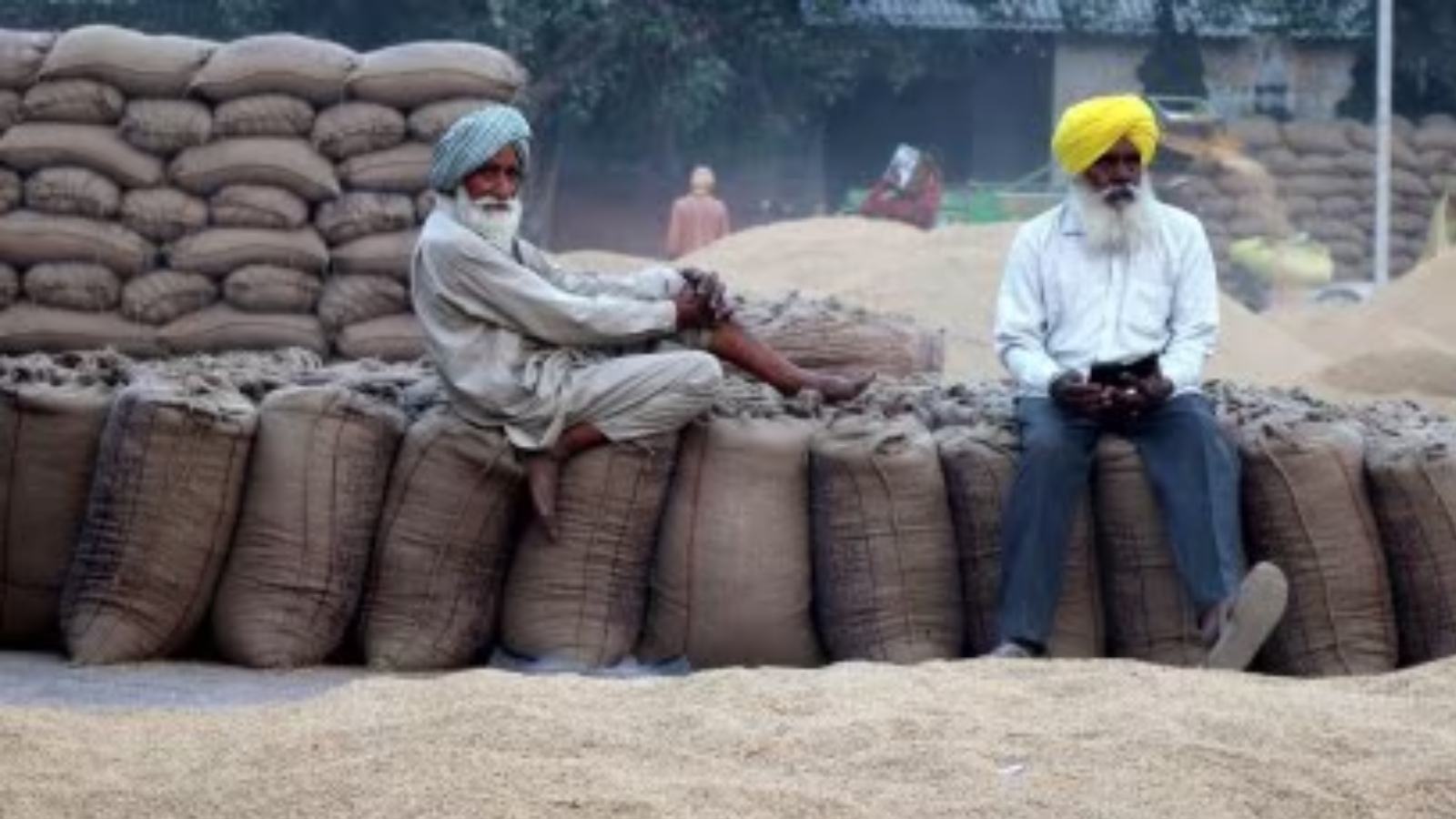 Ferozepur chief agriculture officer suspended over hoarding of DAP ...