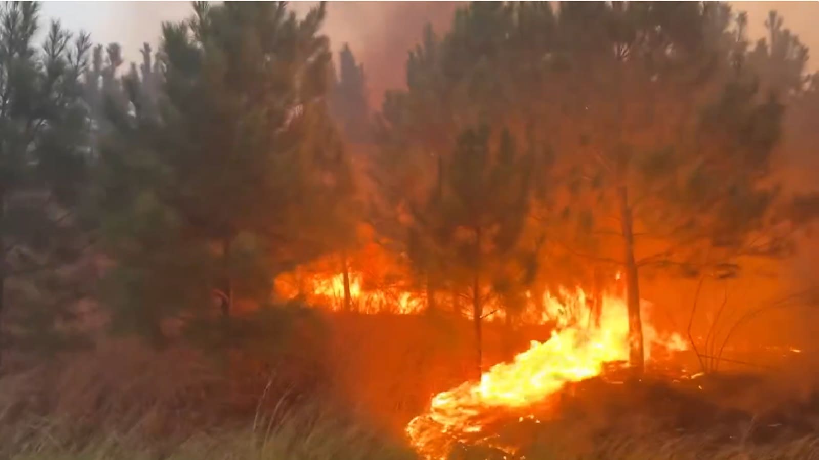 Hudson Wildfire In Texas Bastrop County Rages To 400 Acres Prompts Evacuations World News