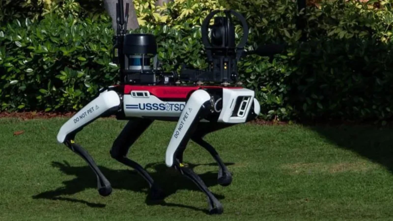 Trump’s new ‘bodyguard’: Meet Spot, the Robodog keeping an eye on the ...