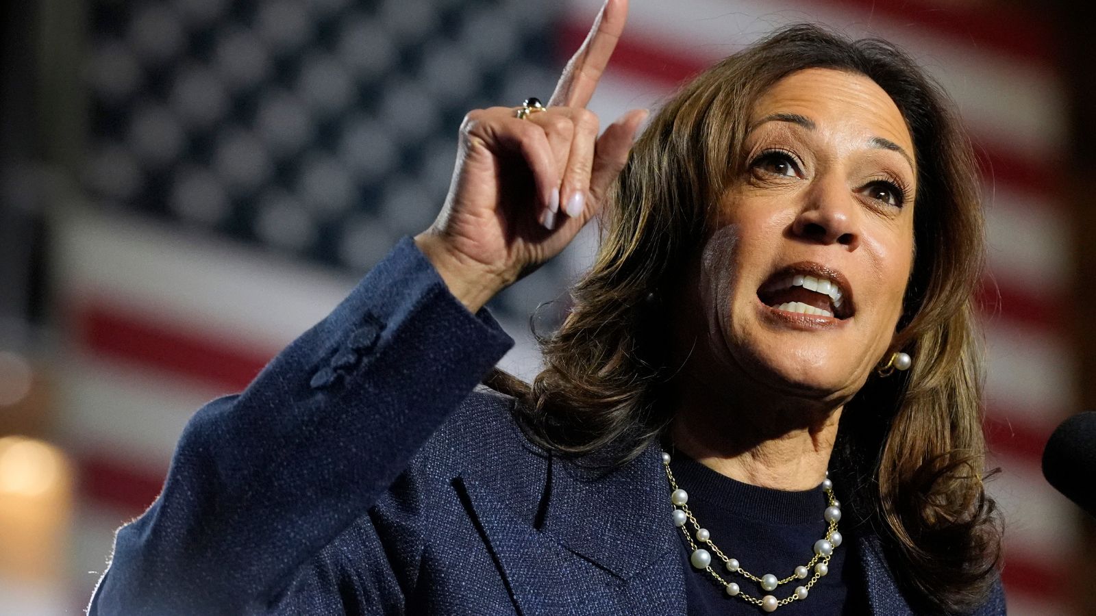 Kamala Harris vows end to Gaza war, lower healthcare costs, protect ...