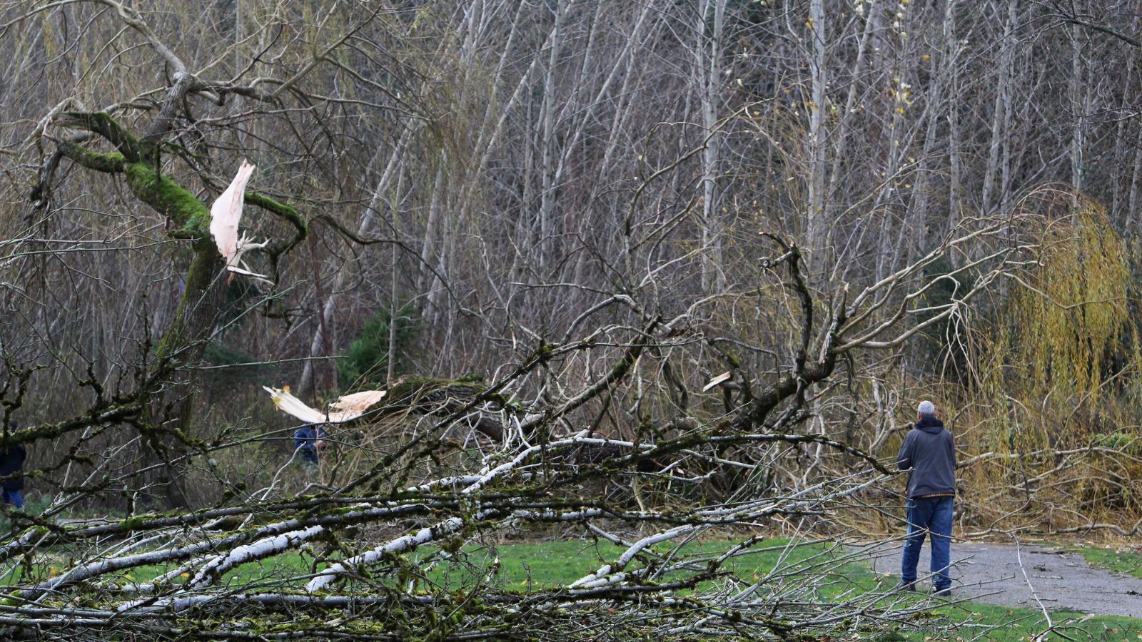 In pictures | Bomb cyclone batters northwest US, causes power outages ...
