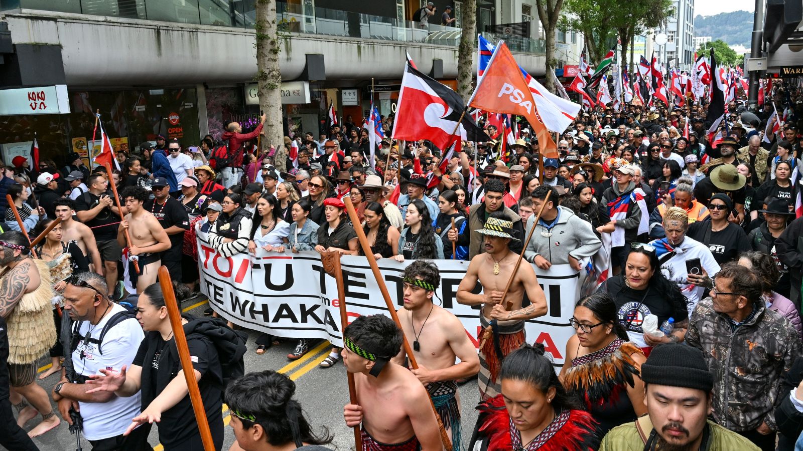 Thousands gather to protest New Zealand’s indigenous rights bill, march ...