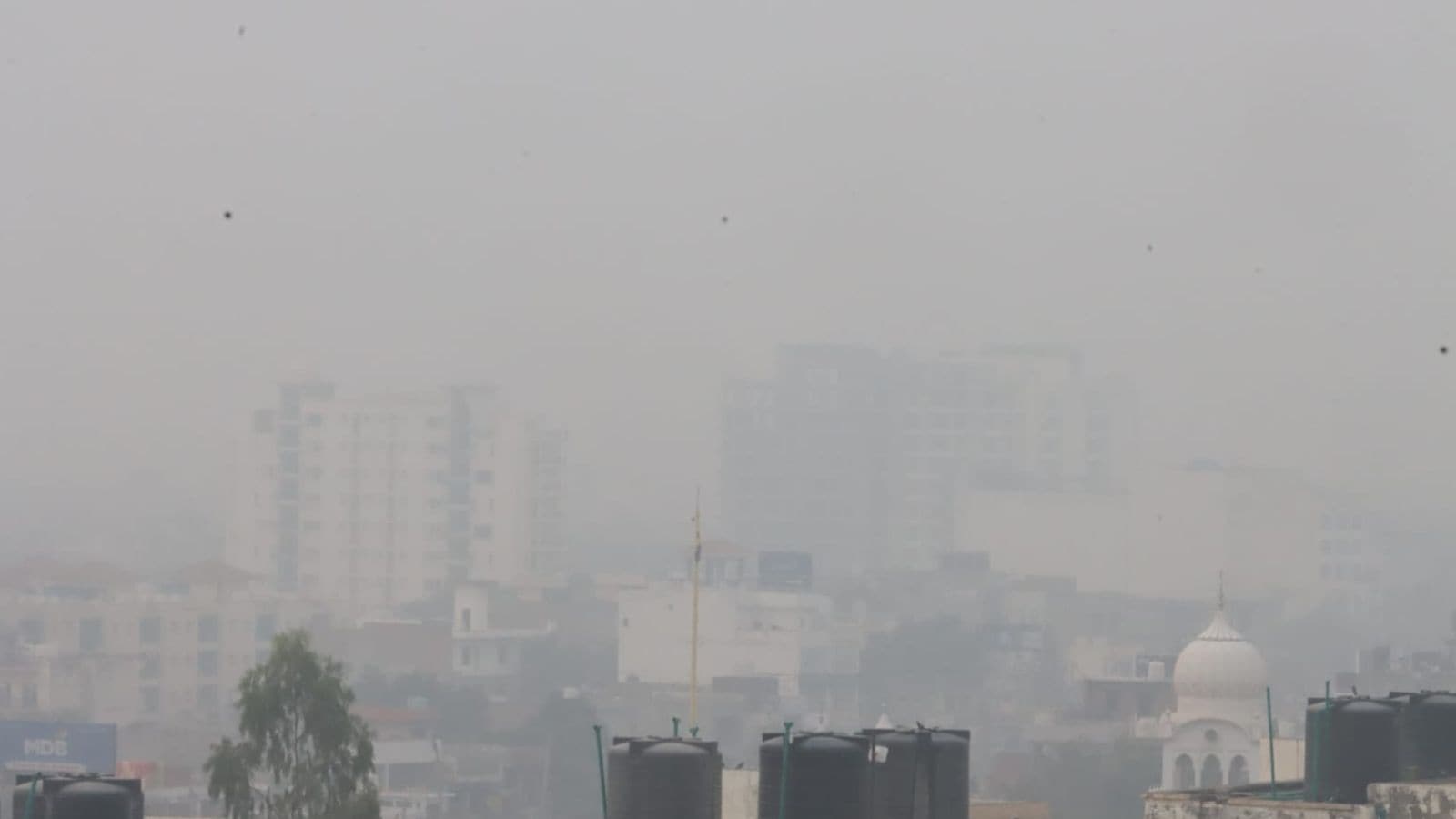 Dense fog in isolated areas of Punjab, Haryana and Chandigarh; yellow ...
