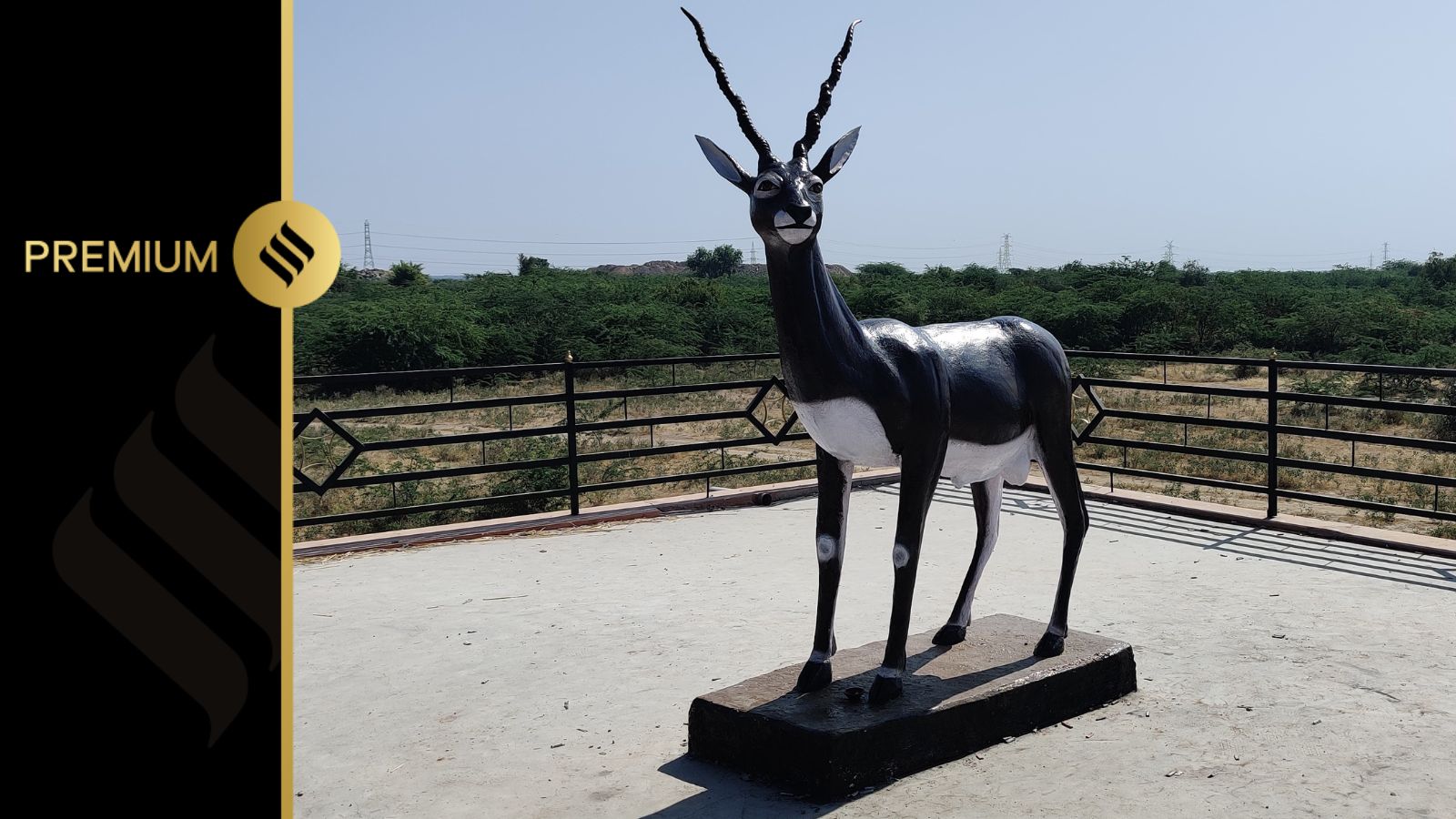 Lawrence Bishnoi, ‘Jeev Jantu Rakshak’: At blackbuck killing site in ...