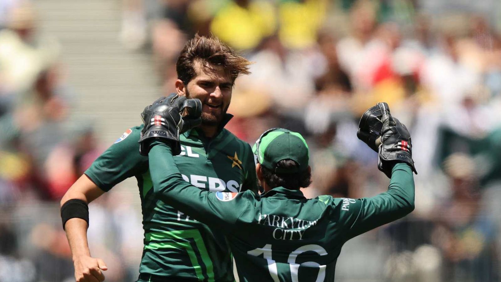 Icc Odi Ranking Pakistans Shaheen Shah Afridi Becomes No 1 Ranked Odi