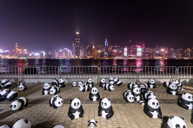 In pictures | Hong Kong’s first pyrotechnic drone show for panda ...
