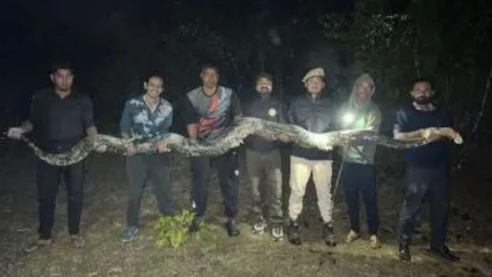100 kg Burmese python rescued at Assam University; video goes viral