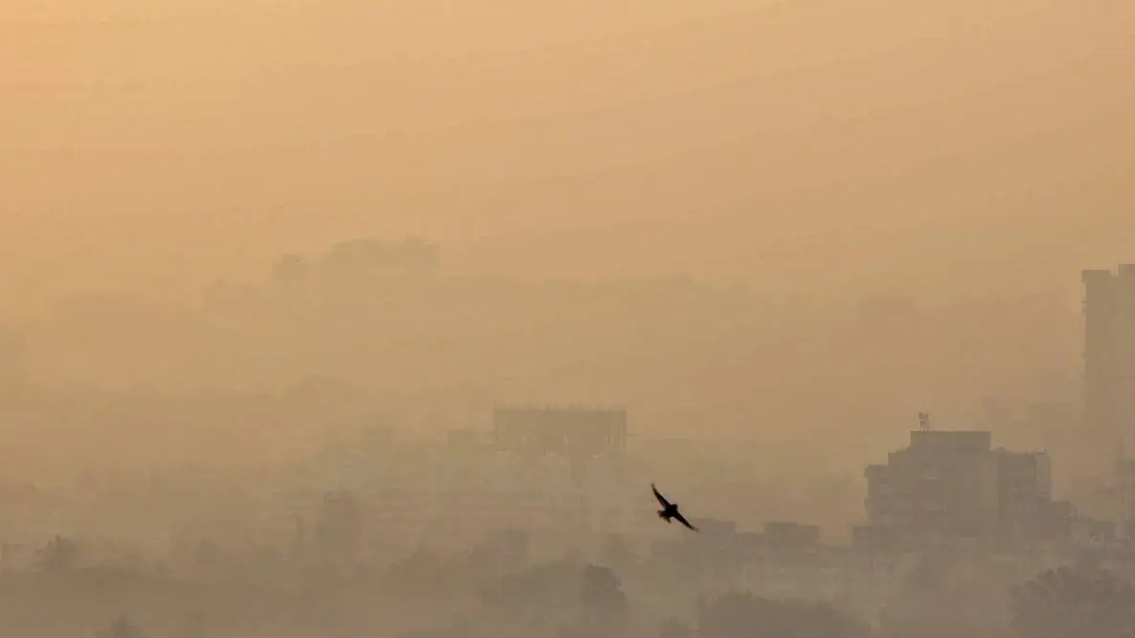 Cold wave in Gujarat till Wednesday: IMD | Ahmedabad News - The Indian ...