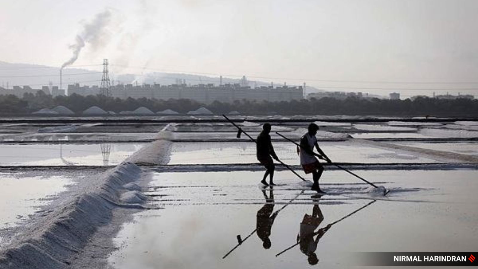 Ports ministry proposes to acquire over 5,000 acres of salt pan lands ...