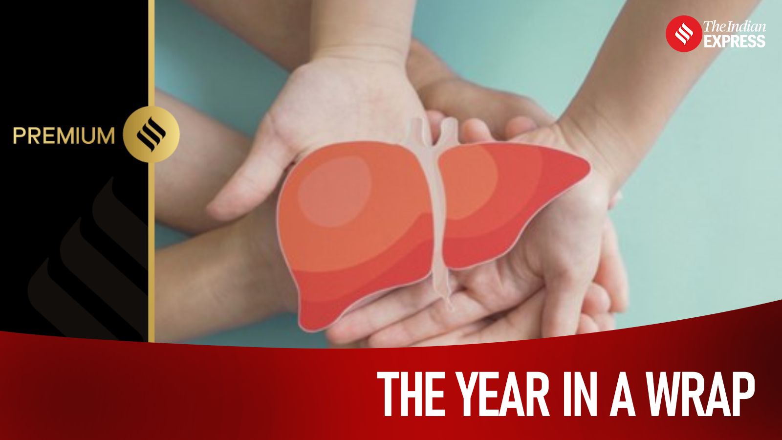 Why fatty liver cases rose in 2024: What are bigger triggers than ...