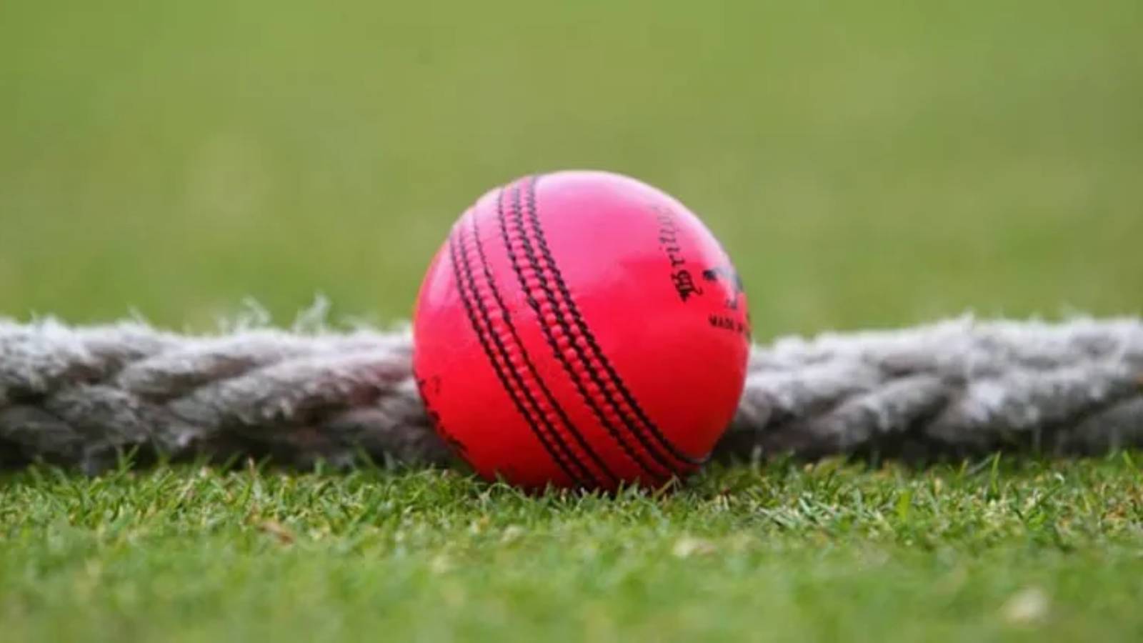 Bad light in Tests? Replace red ball with pink one