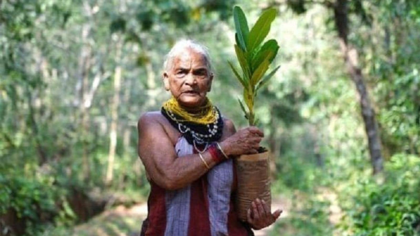 Tulsi Gowda, the ‘Encyclopaedia of Forest’, passes away at 86 ...