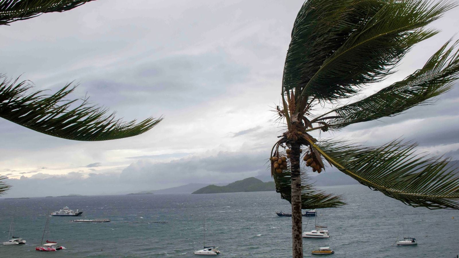 11 dead as Cyclone Chido devastates France’s Mayotte | World News - The ...