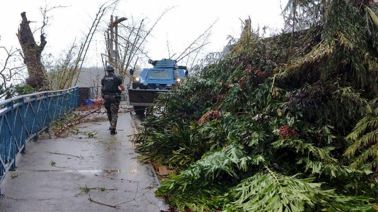 In pictures | Cyclone Chido devastates Mayotte, hundreds feared dead ...