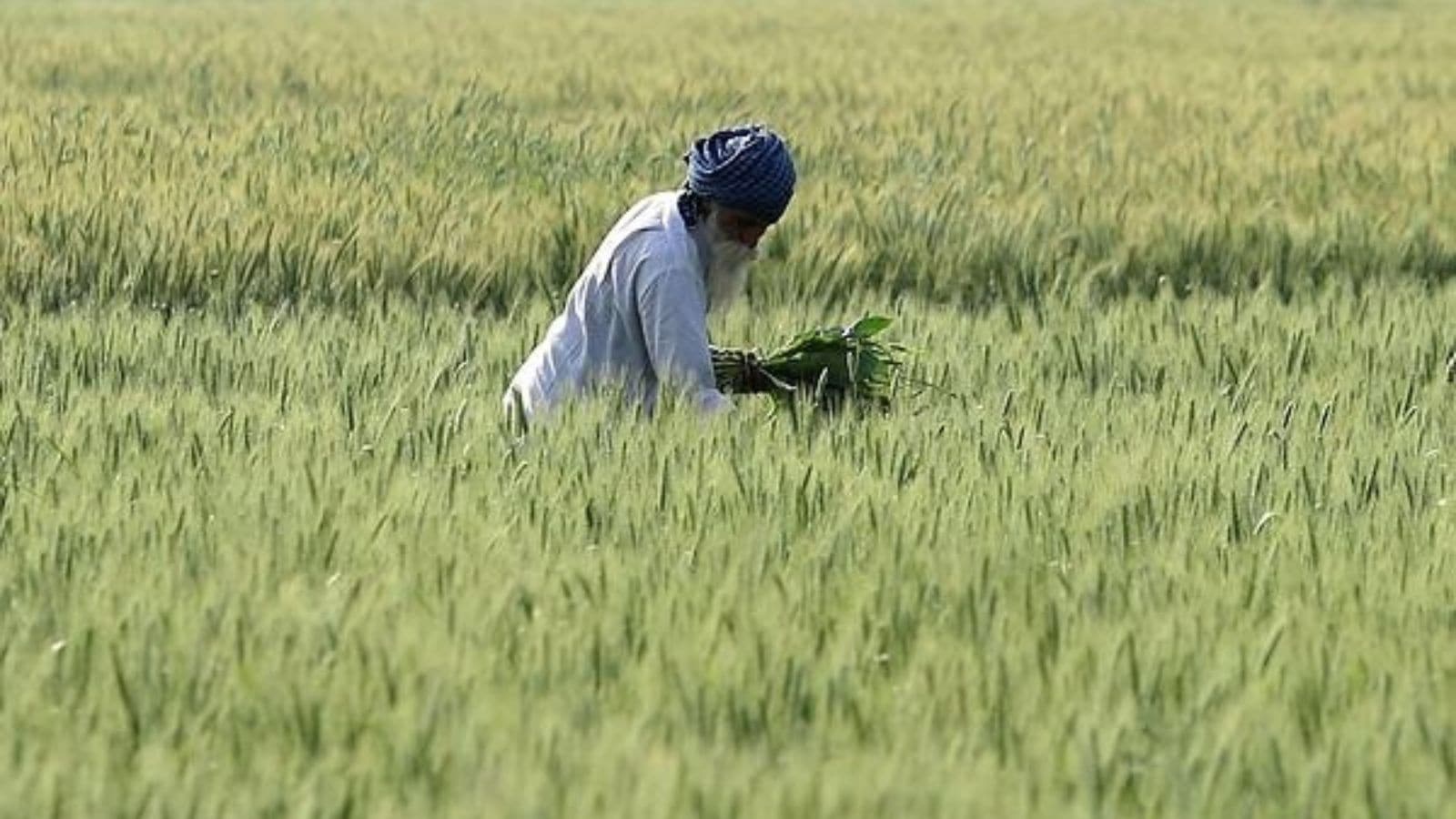 PM Kisan Samman Nidhi Yojana 19th Installment Date 2025: PM Kisan ...