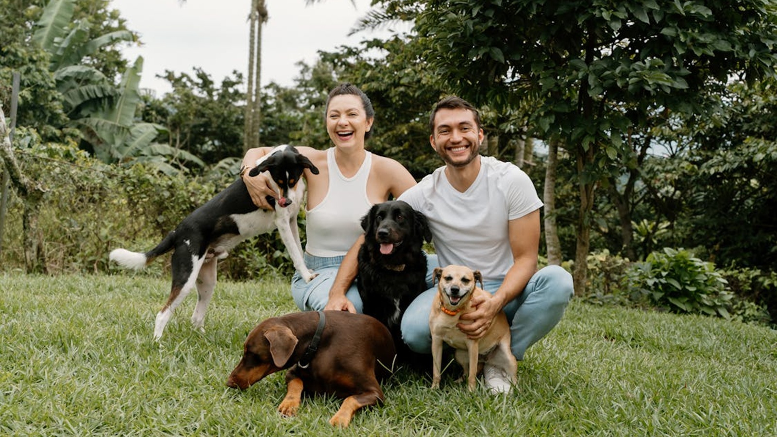 Quiz hour: How well do you know your pet? | Pets-animals News - The Indian Express