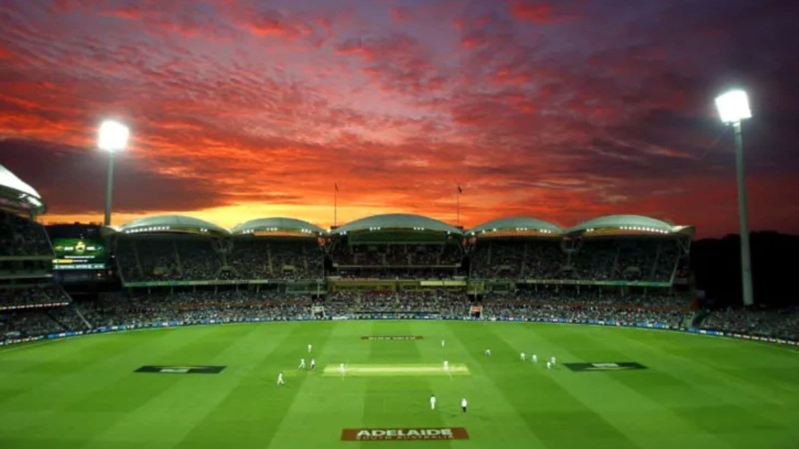 Pink ball Test: First comments on Adelaide – unpredictable pink ball ...