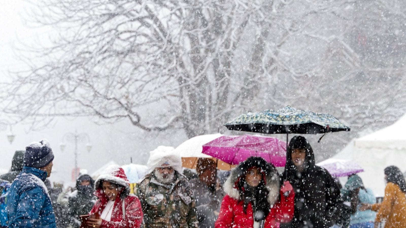 IMD Weather Forecast Today Live Updates: Mussoorie, Shimla, Delhi ...