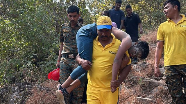 Trekker group attacked by bees in SGNP after they damaged one of the bee hives, three sustain ...