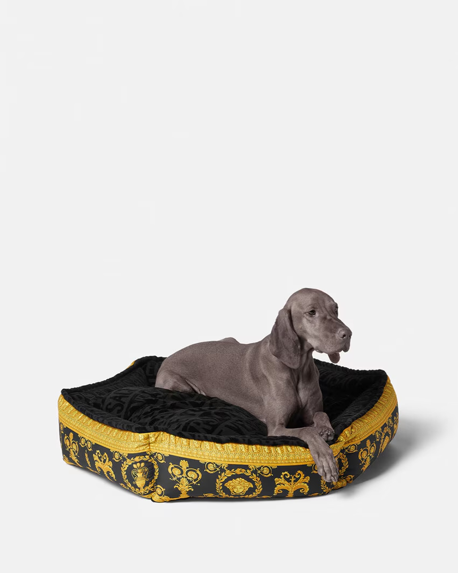 5 of the world’s most expensive luxury accessories for your furry ...