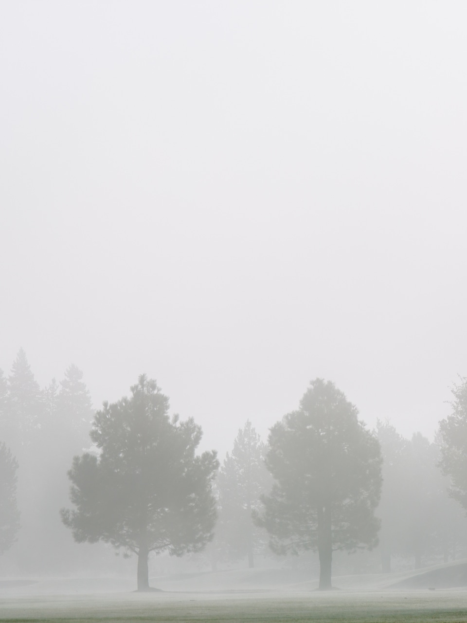 Dense fog in Delhi: Health risks and essential precautions