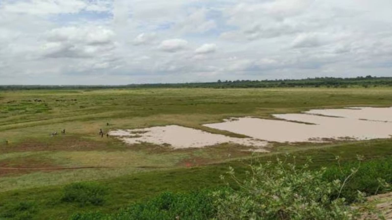 Karnataka cabinet declares Hesaraghatta grassland a reserve, makes U ...