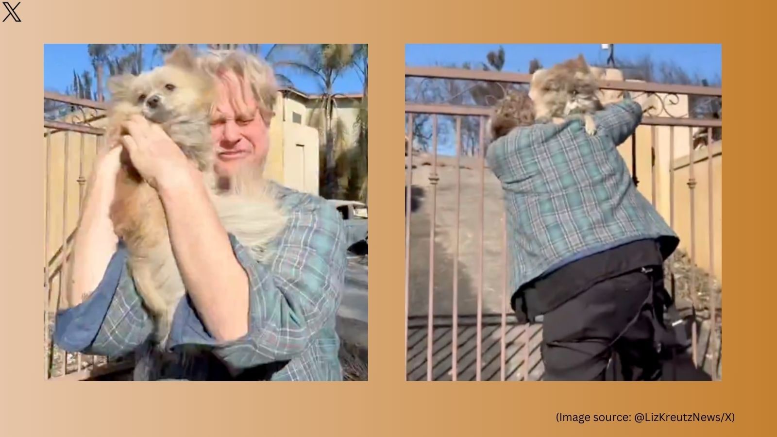 LA man reunited with dog five days after wildfire evacuation ...